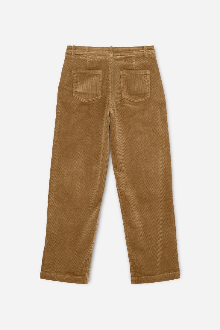 STICKY ZOO® - BEARS ON THE CORDS – Sticky Zoo®